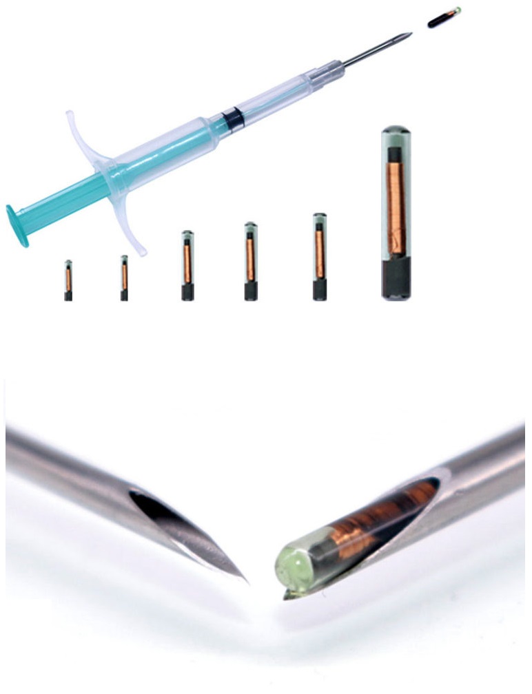 Puces d'identification pour rats et souris - Aniphy